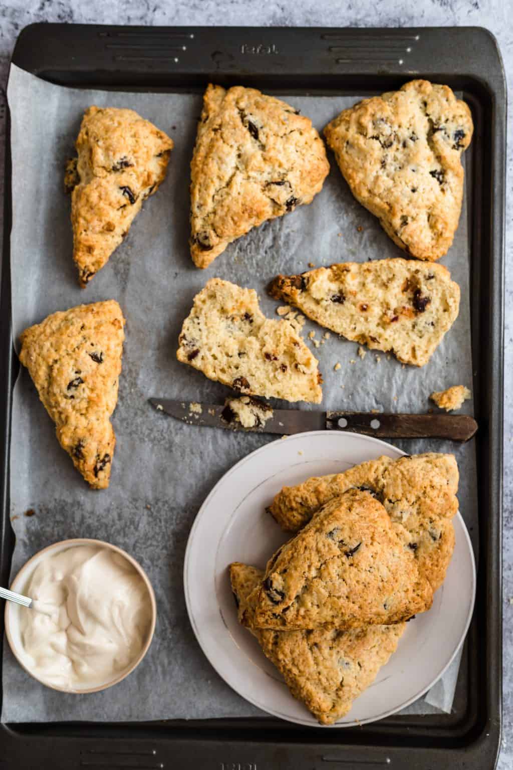Date Scones - Every Little Crumb the perfect base recipe- Every Little ...
