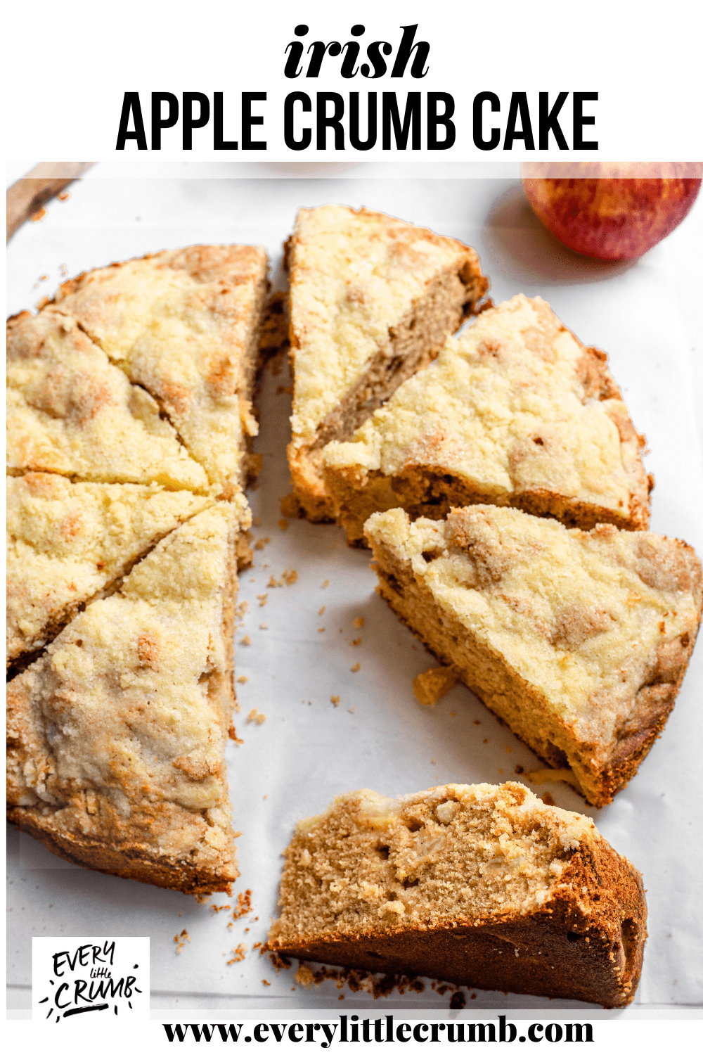 Irish Apple Crumb Cake - Every Little Crumb moist and delicious- Every ...