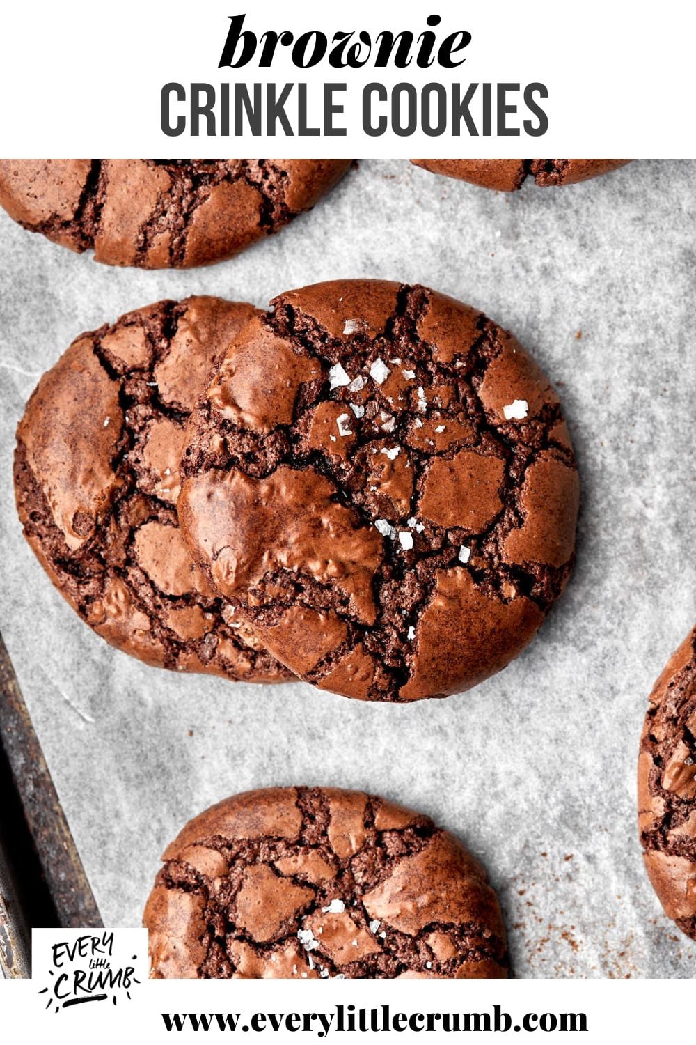 Brownie Crinkle Cookies - Every Little Crumb
