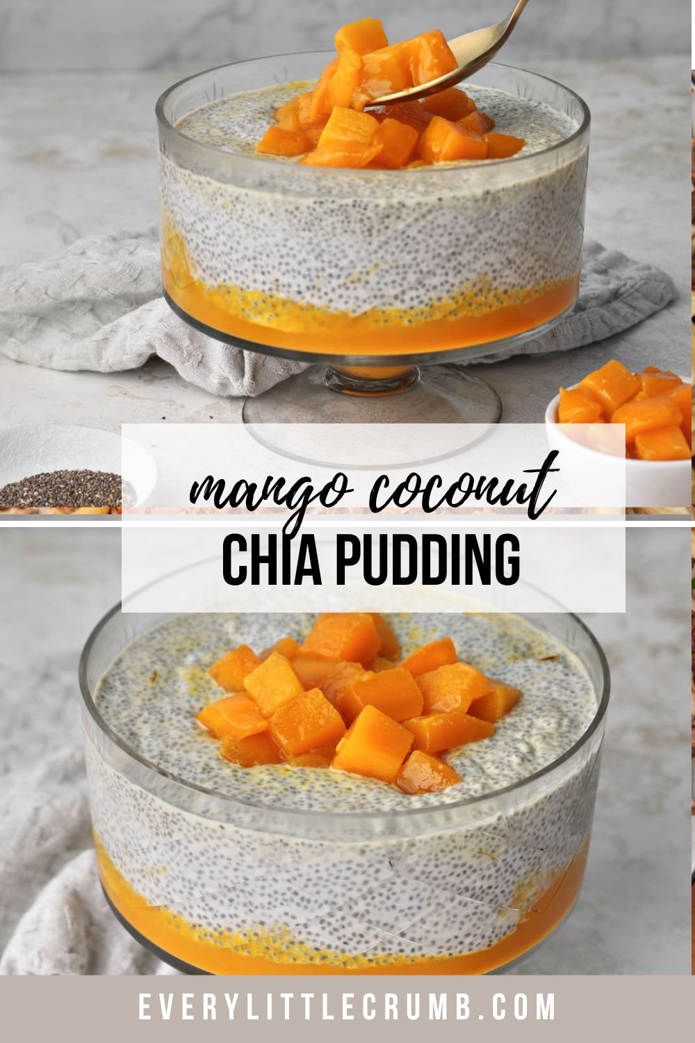 Mango Coconut Chia Pudding - Every Little Crumb